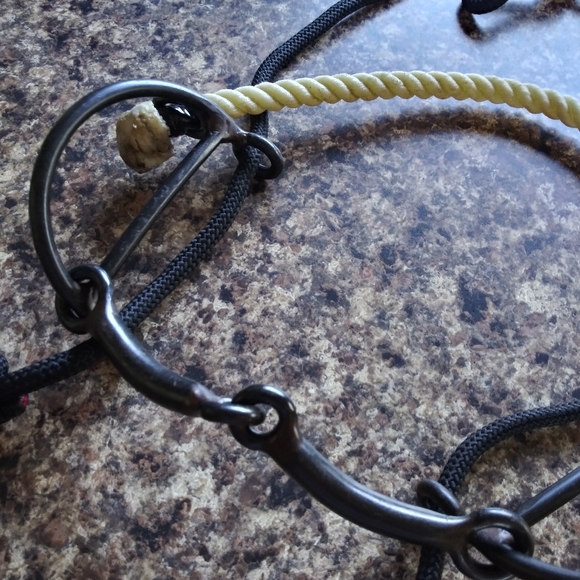Other | Gag Headstall Bit Bridle | Poshmark